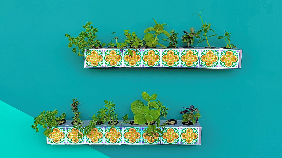 OneKindBlock – One Kind Block