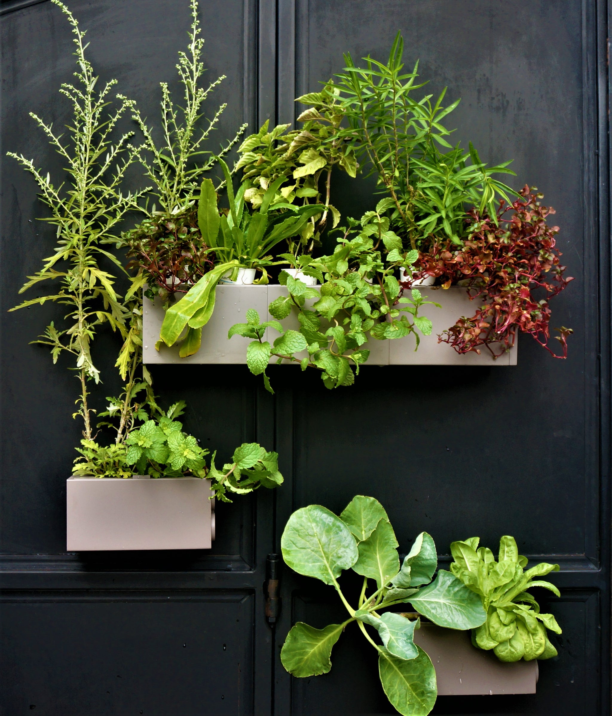 OneKindBlock – One Kind Block